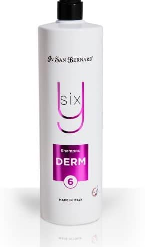 DERM SHAMPOO Y6 1000 ML - Iv San Bernard USA